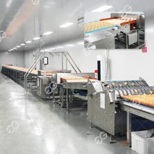How to Make Commercial Biscuits? - Professional Machines